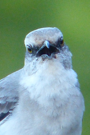 Strong at Art: January 2013