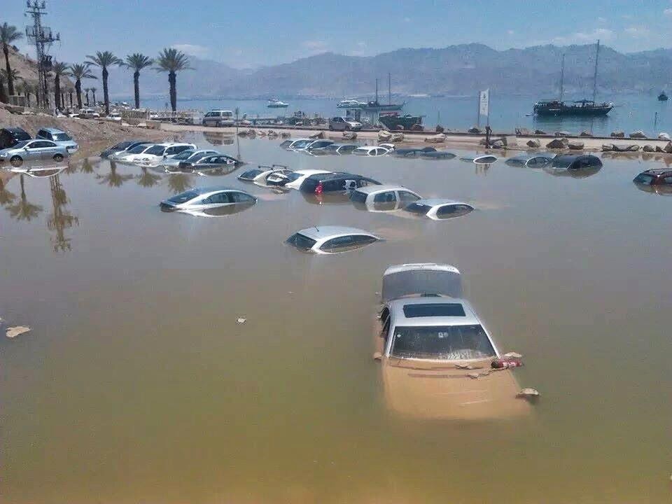 Egyptian Chronicles: Can Someone Call the Government and tell them That ...