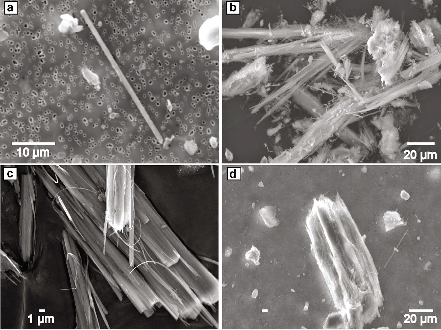Sciency Thoughts: The dangers of naturally occurring asbestos in ...