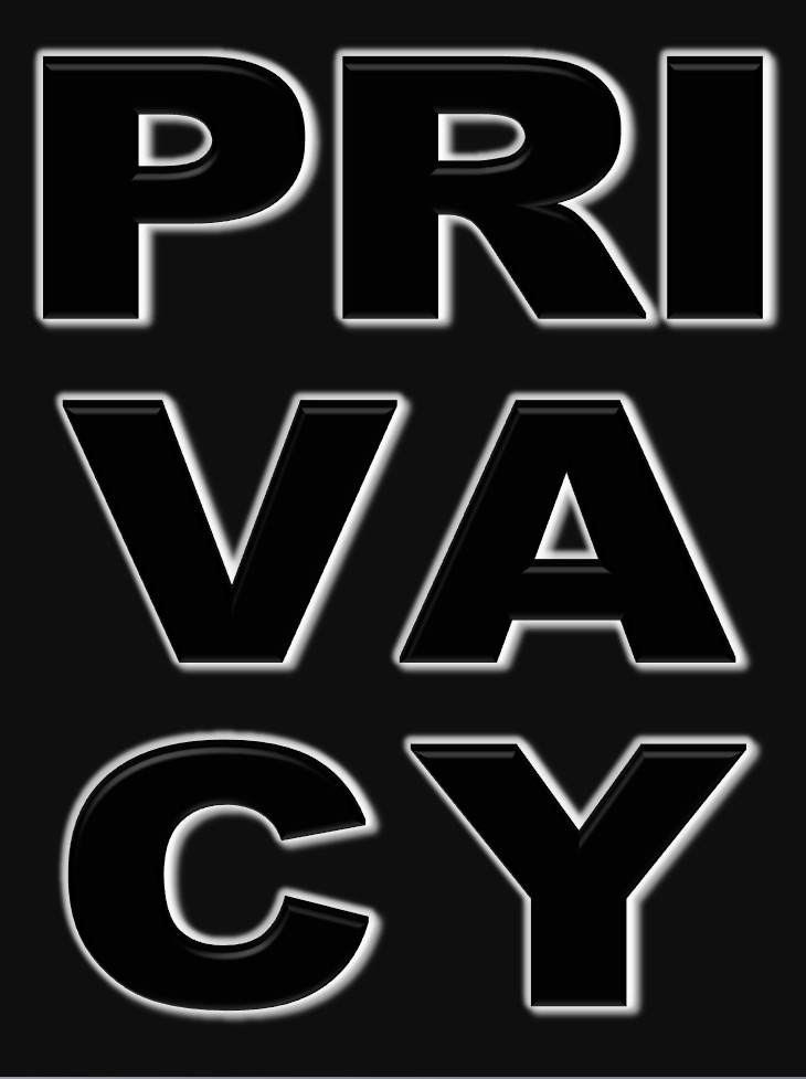 CONTRARY BRIN: Transparency, Privacy and Surveillance in a new era