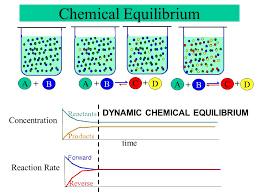 yourchemicalengineeringguide: Thermodynamic Equilibrium