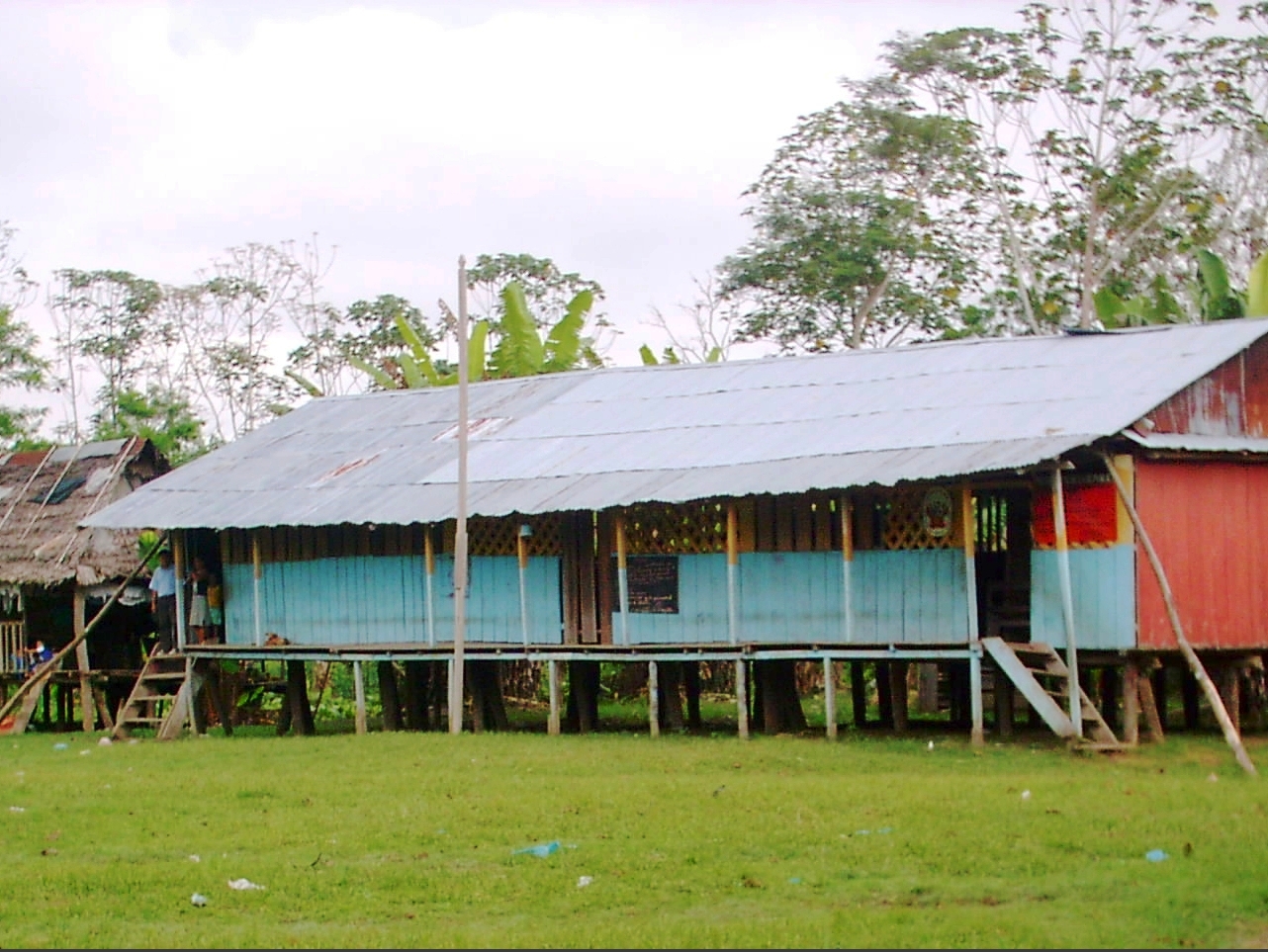 TIPISHCA: ESCUELA ÁRBOL, una propuesta de educación para la selva (*)