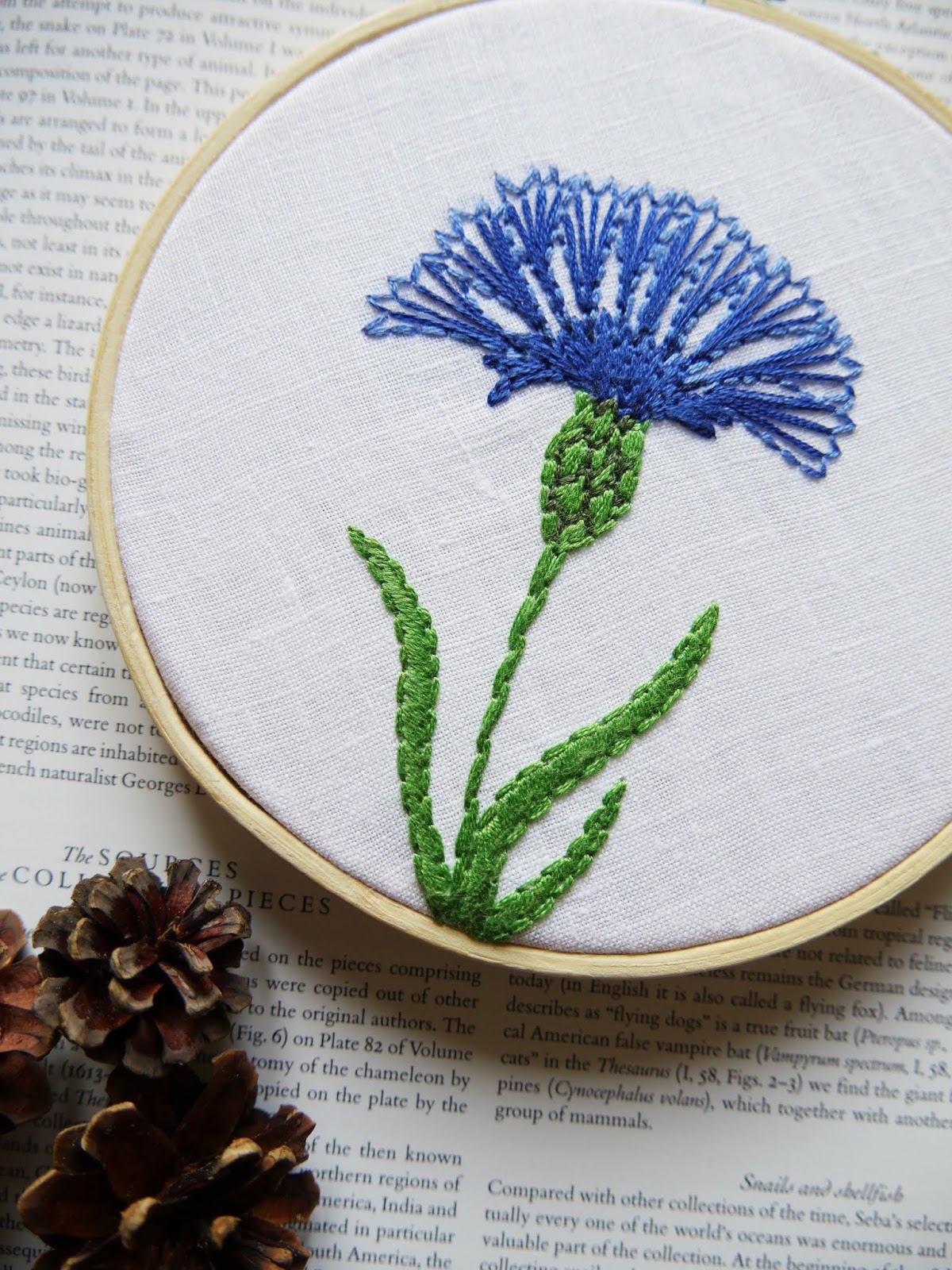 Broderie bleuet - Les Plaisanteries