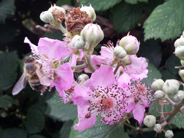 Journeys of heart and mind: July 2012