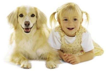 67 Not Out: Coincidence Photos Of Children And Their Dogs