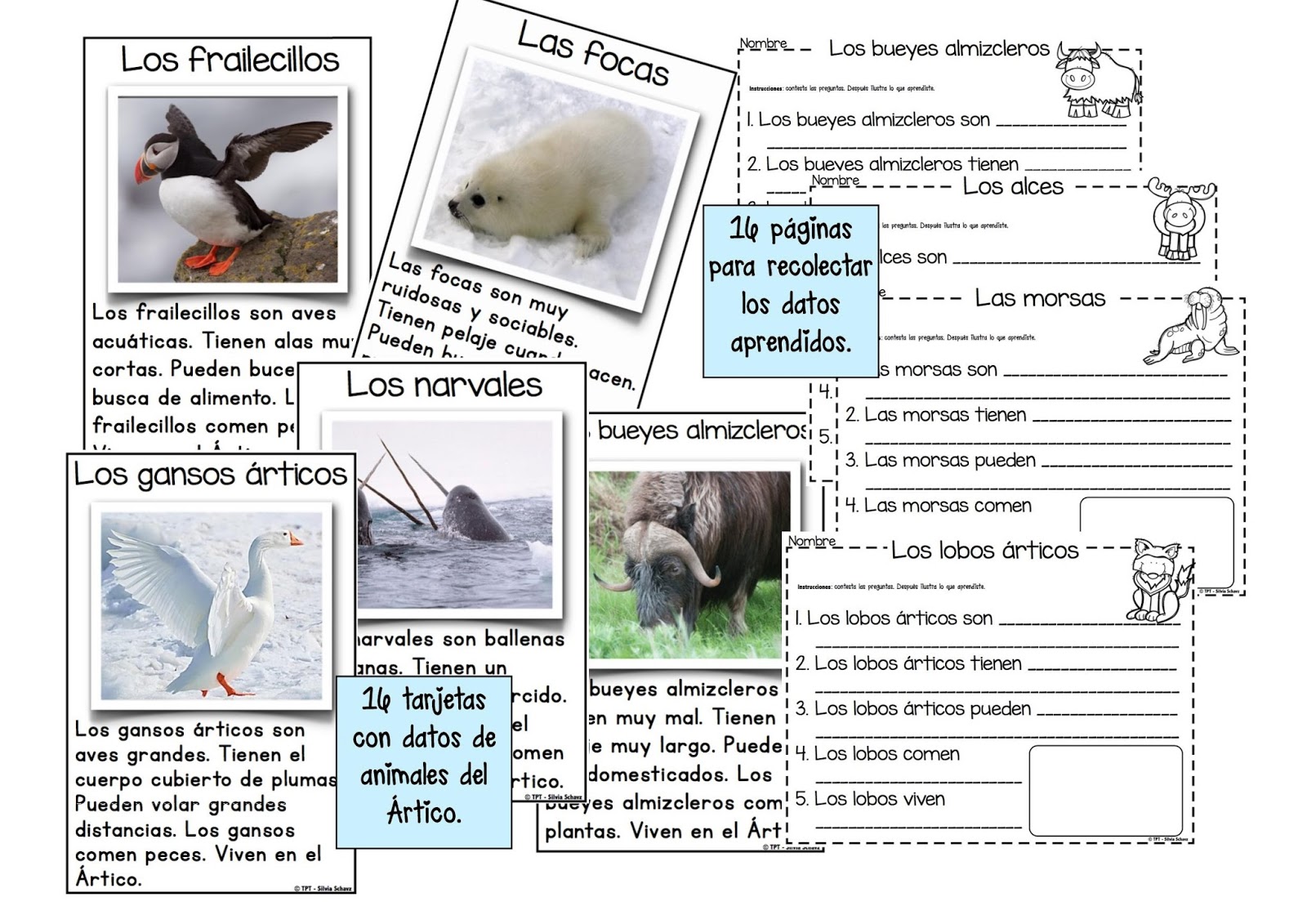 El salón de Silvia Schavz