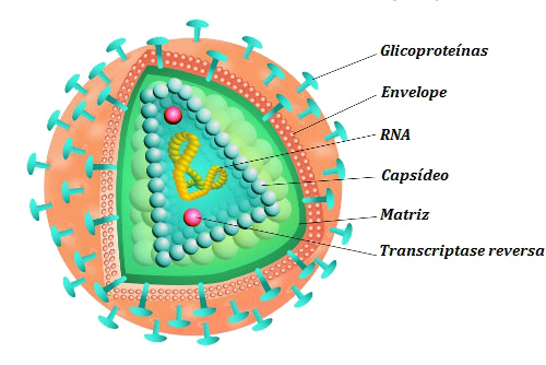 Biologia : Agosto 2017