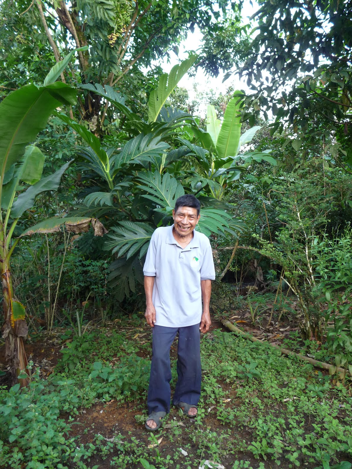 Artesanía y plantas medicinales amazónicas con Tio Jaime
