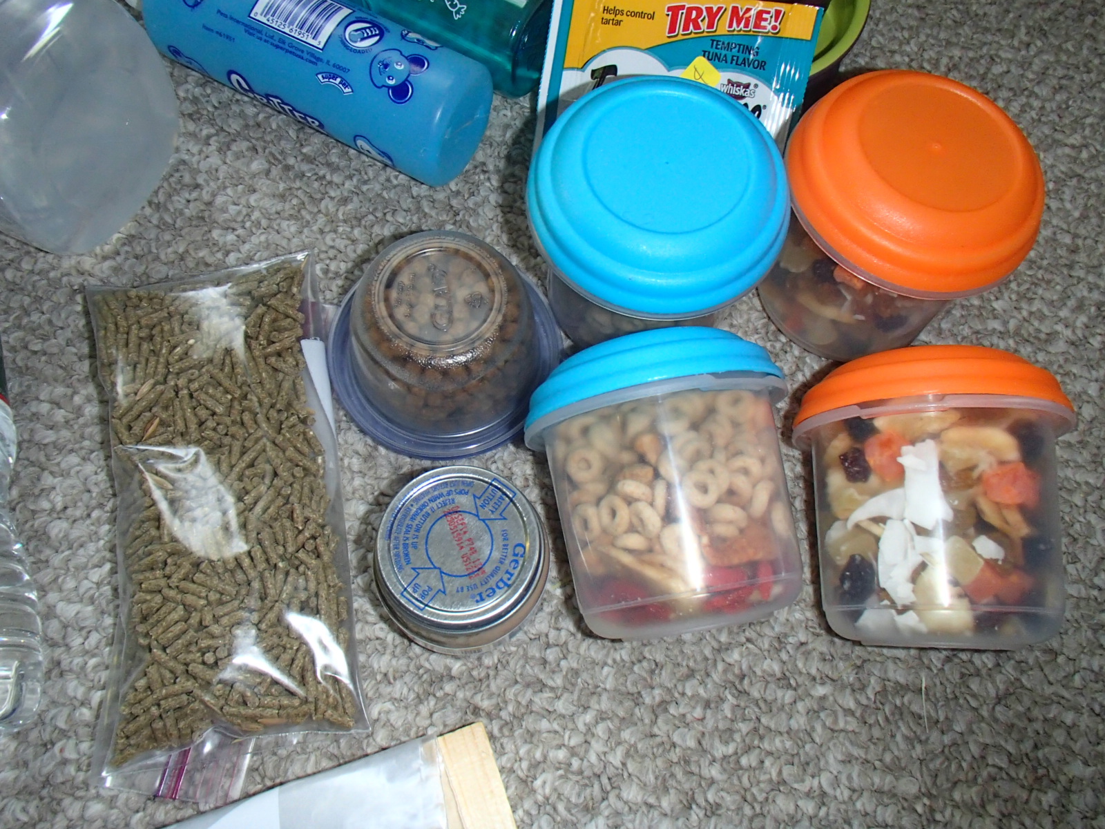 The Life and Times of Wilbur and Orville: Finished Emergency/First Aid Kit