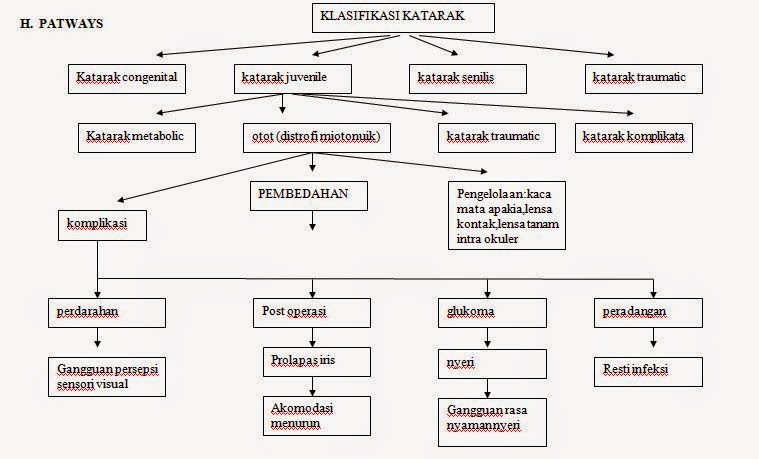 Pathway Katarak - Pathway Patofisiologi