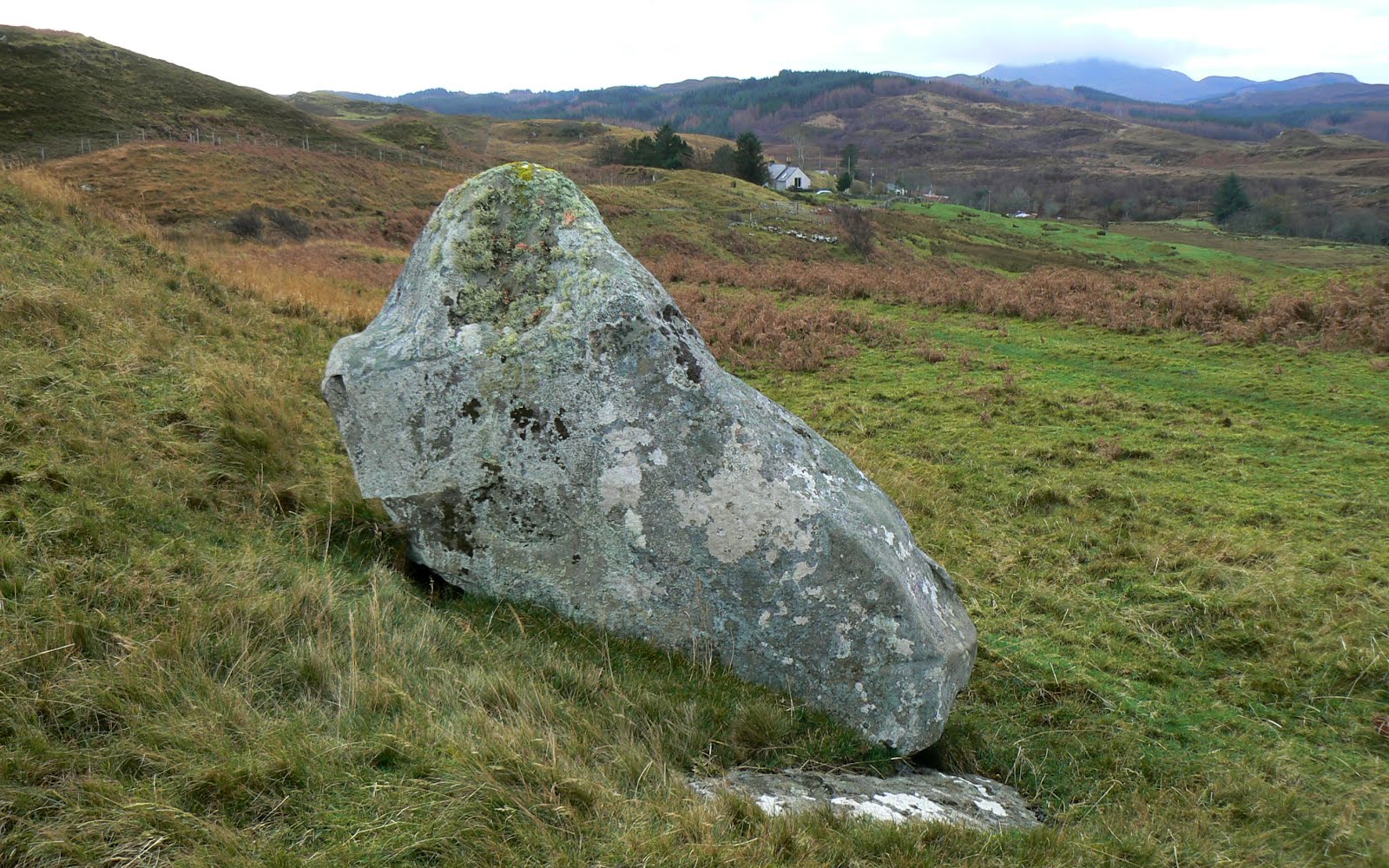 A Kilchoan Diary: Erratics