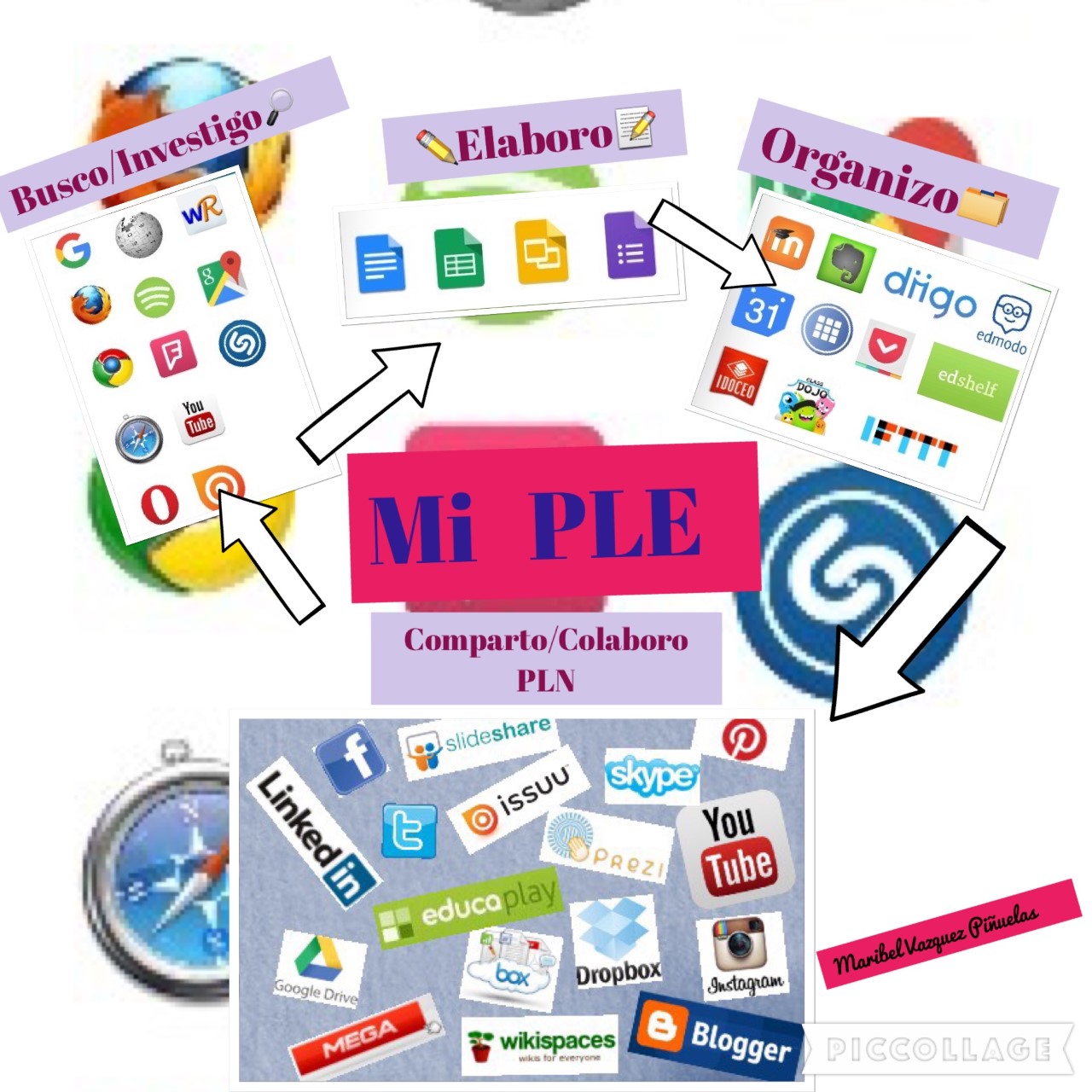 BLOG DE TRABAJO MAESTRA MARIBEL VAZQUEZ PIÑUELAS: "Anatomía de mi PLE"