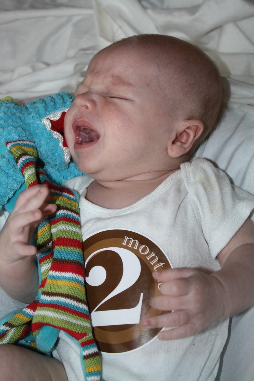 The Anderson Family: 2 Month Old Baby Luke