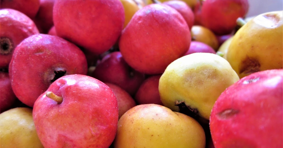 La acequia: Acerolas