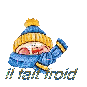 blog pour vous: Quel froid