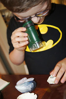 Kids Shell & Seashore Exploration - "Making Montessori Ours"