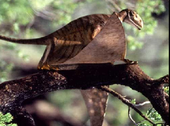 Pterosaurus: October unleashed. Peteinosaurus