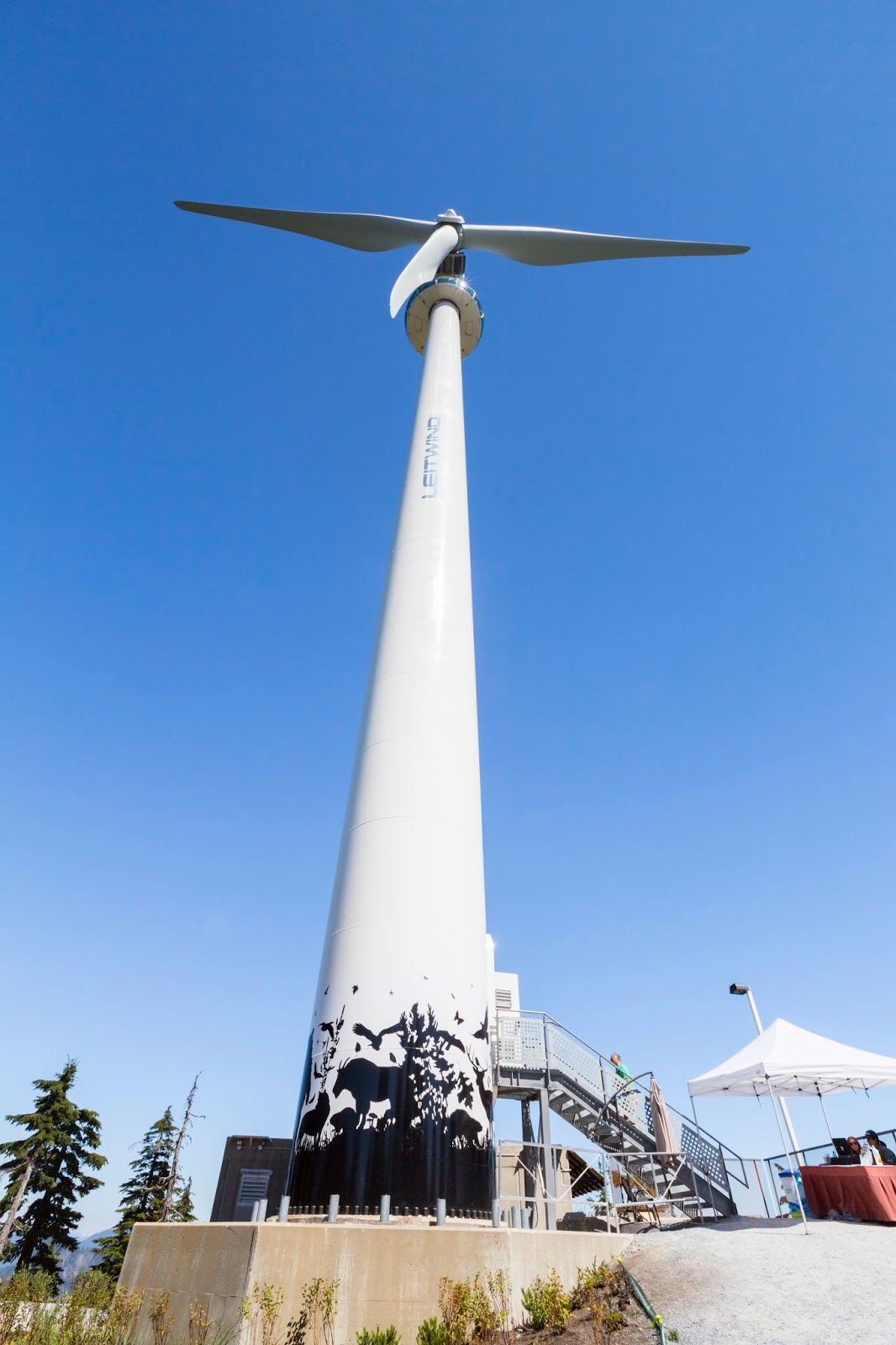 Naturetastic Blog: Eye of the Wind - Grouse Mountain - North Vancouver ...