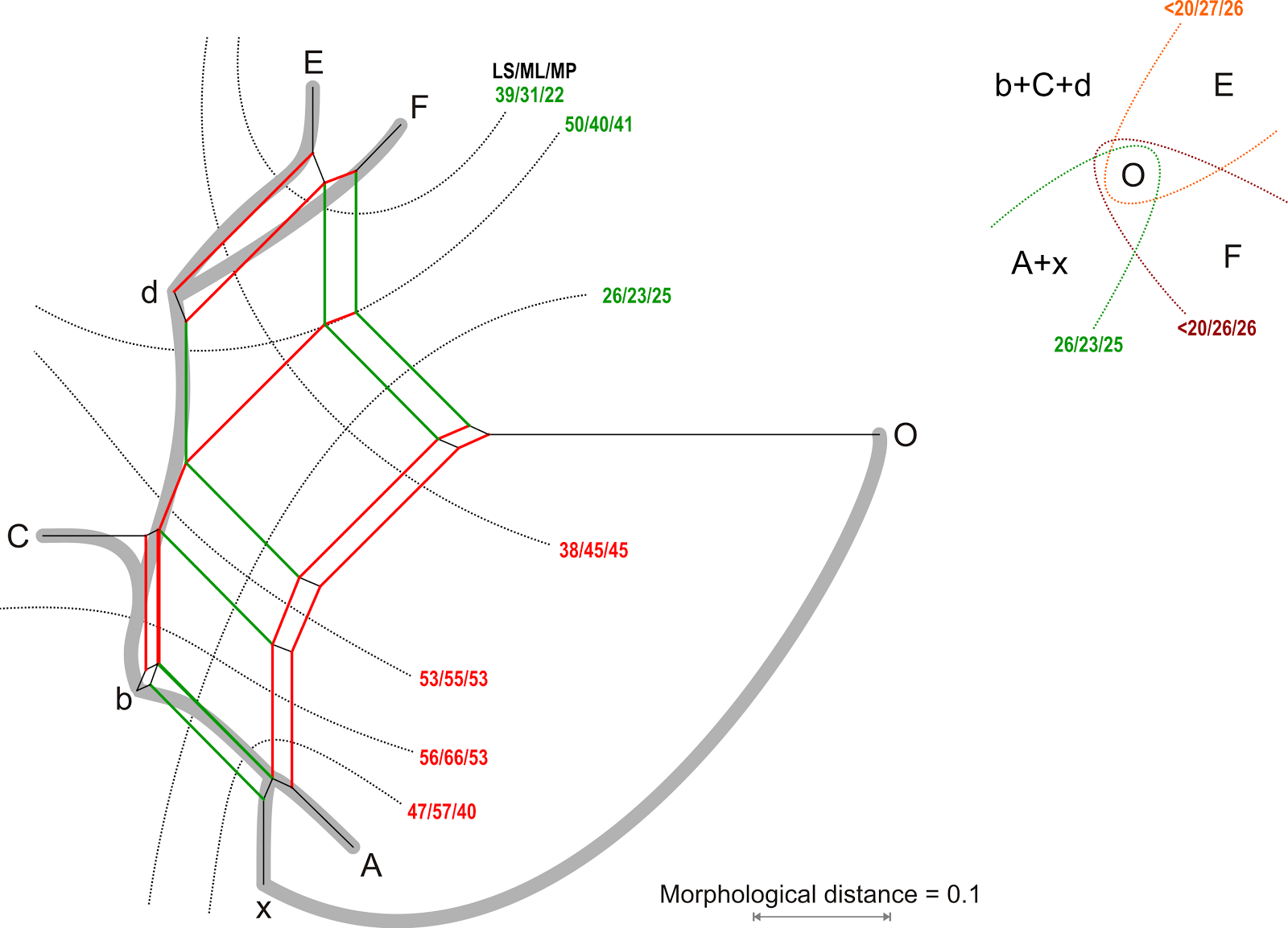The Genealogical World of Phylogenetic Networks: Clades, cladograms ...