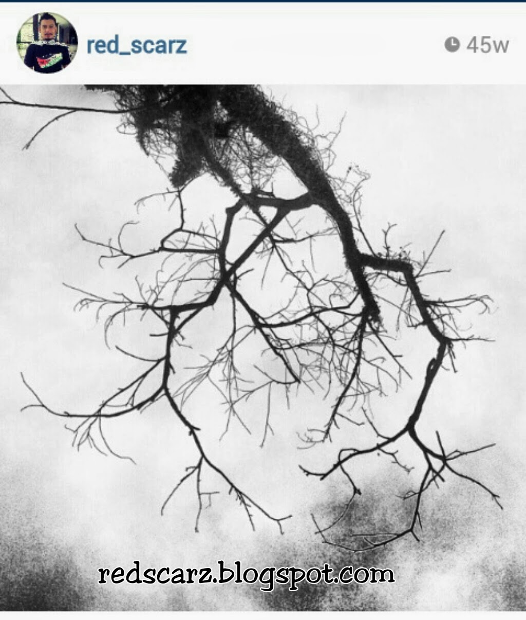 DAUS REDSCARZ: Aku & S2 Part 16 :: Pokok dan Ranting