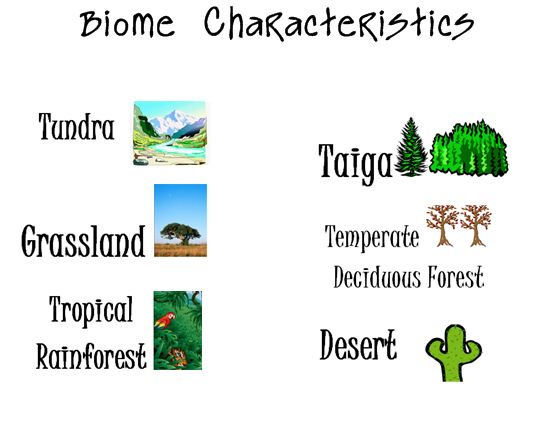 Life, Love, Literacy: Biome Characteristics Multiple Choice