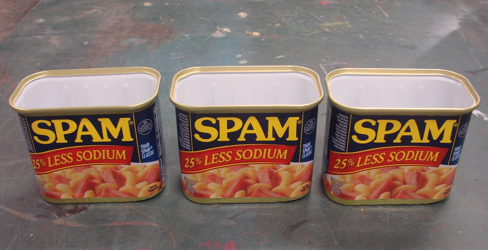 Second Chances by Susan: Spam Can Be A Good Thing!