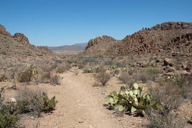 One Dusty Track: Postcard From Big Bend National Park