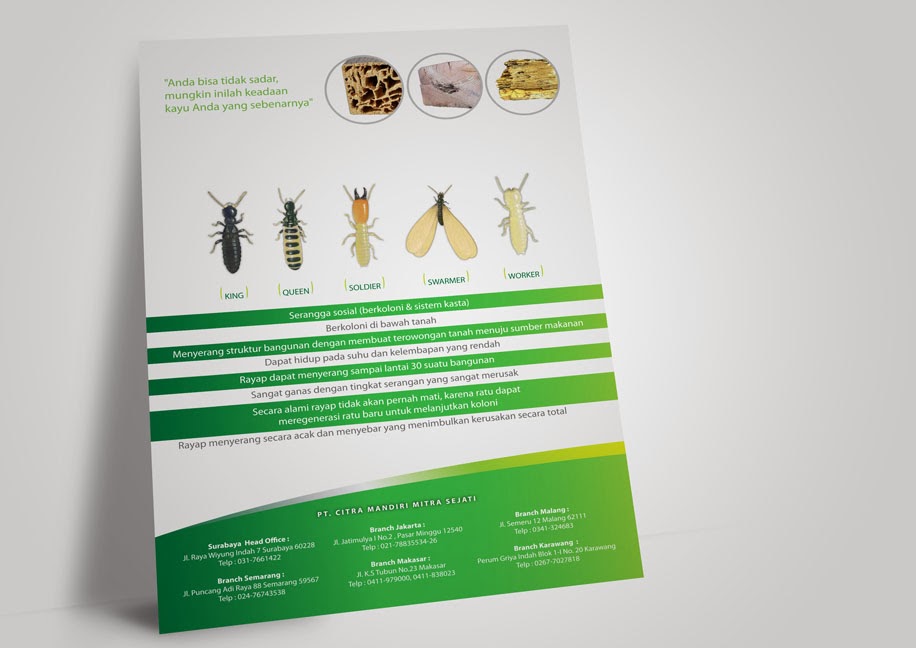 febby febrian: Arima Pest Control Brochure