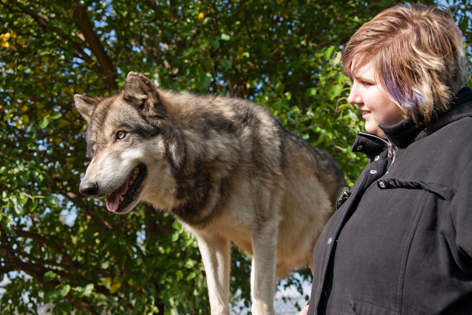 Reflections From The Heart