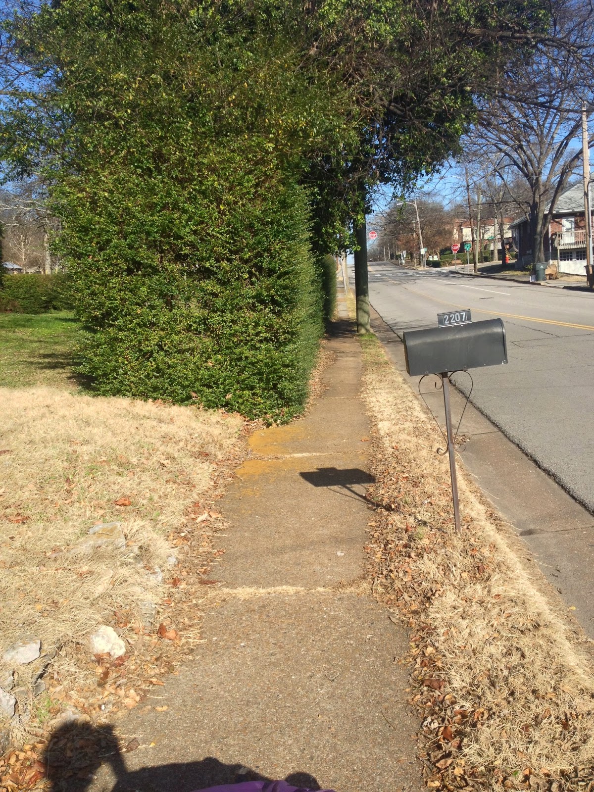 Shade Parade: A right-of-way (ROW) is a right to make a way over a ...