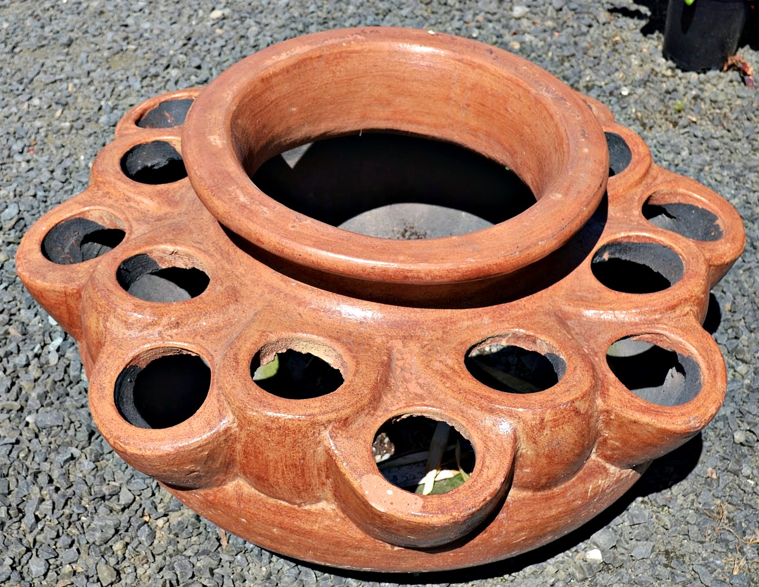 The Outlaw Gardener: Visiting The Barn