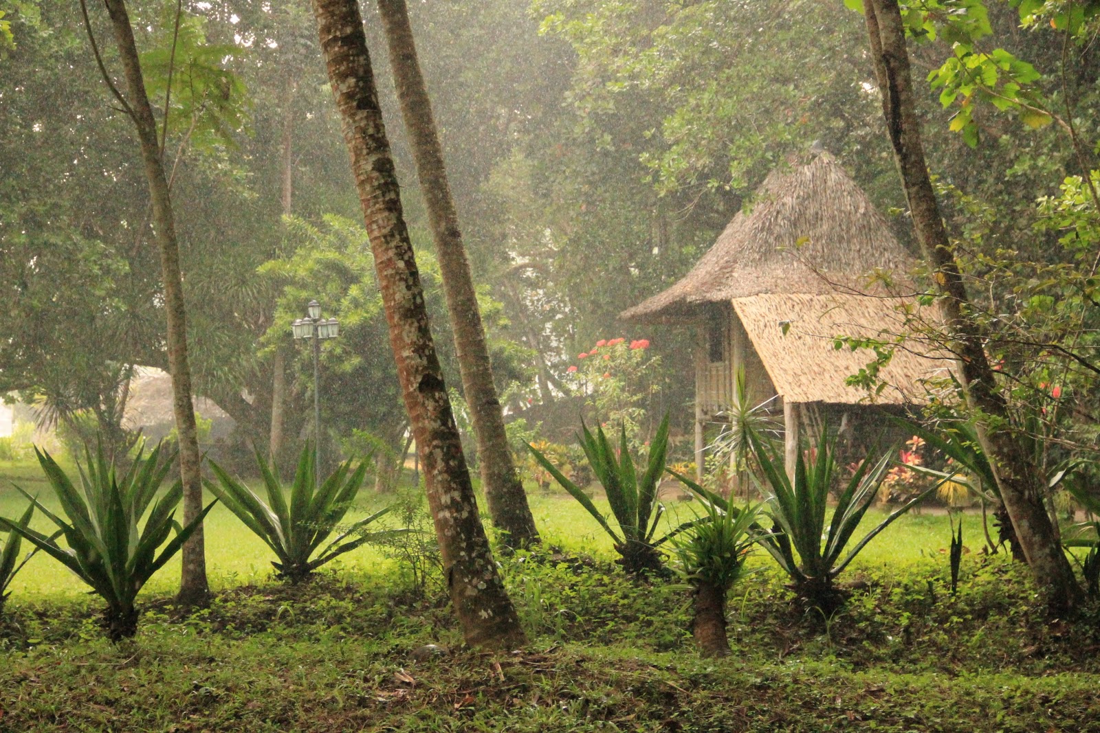 artspshots: Dapitan City (Zamboanga Del Norte) shots - October 2011