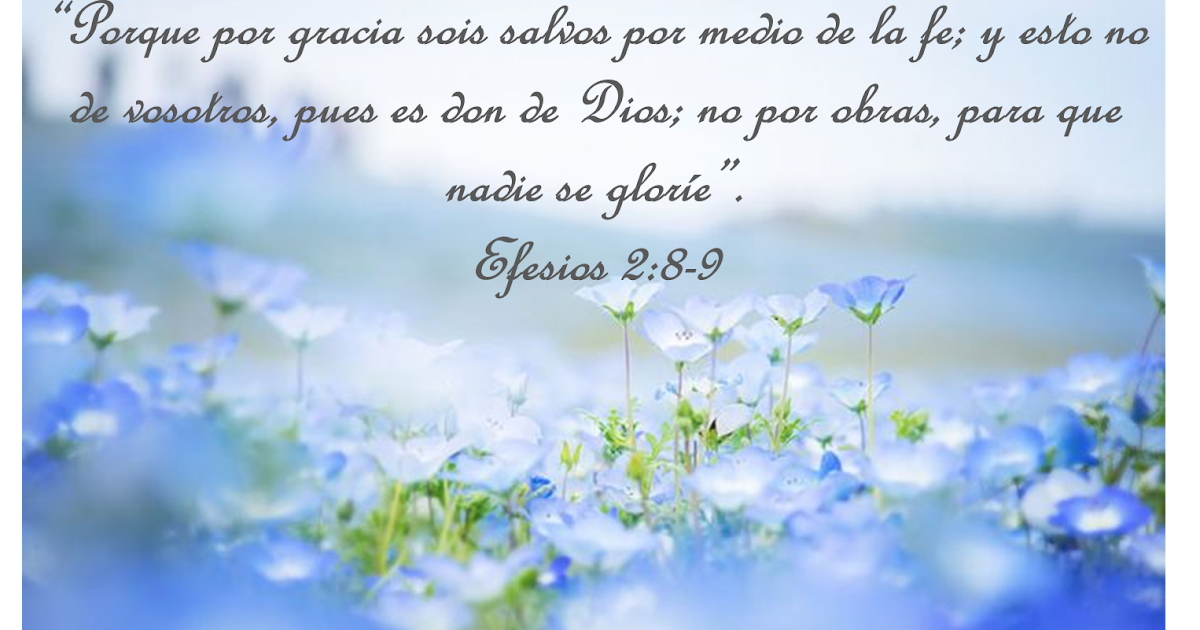 El éxito de la obra de Cristo (Efesios 2:8-9) - Mundo Bíblico: El ...