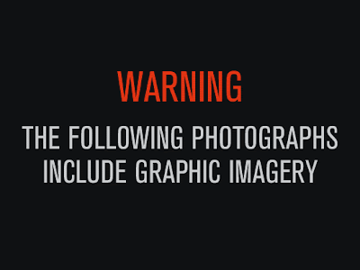 American News Broadcasting: October 2011