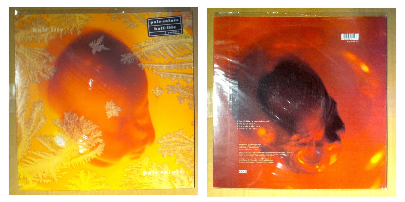 STOCKROOM: Pale Saints – Half-Life