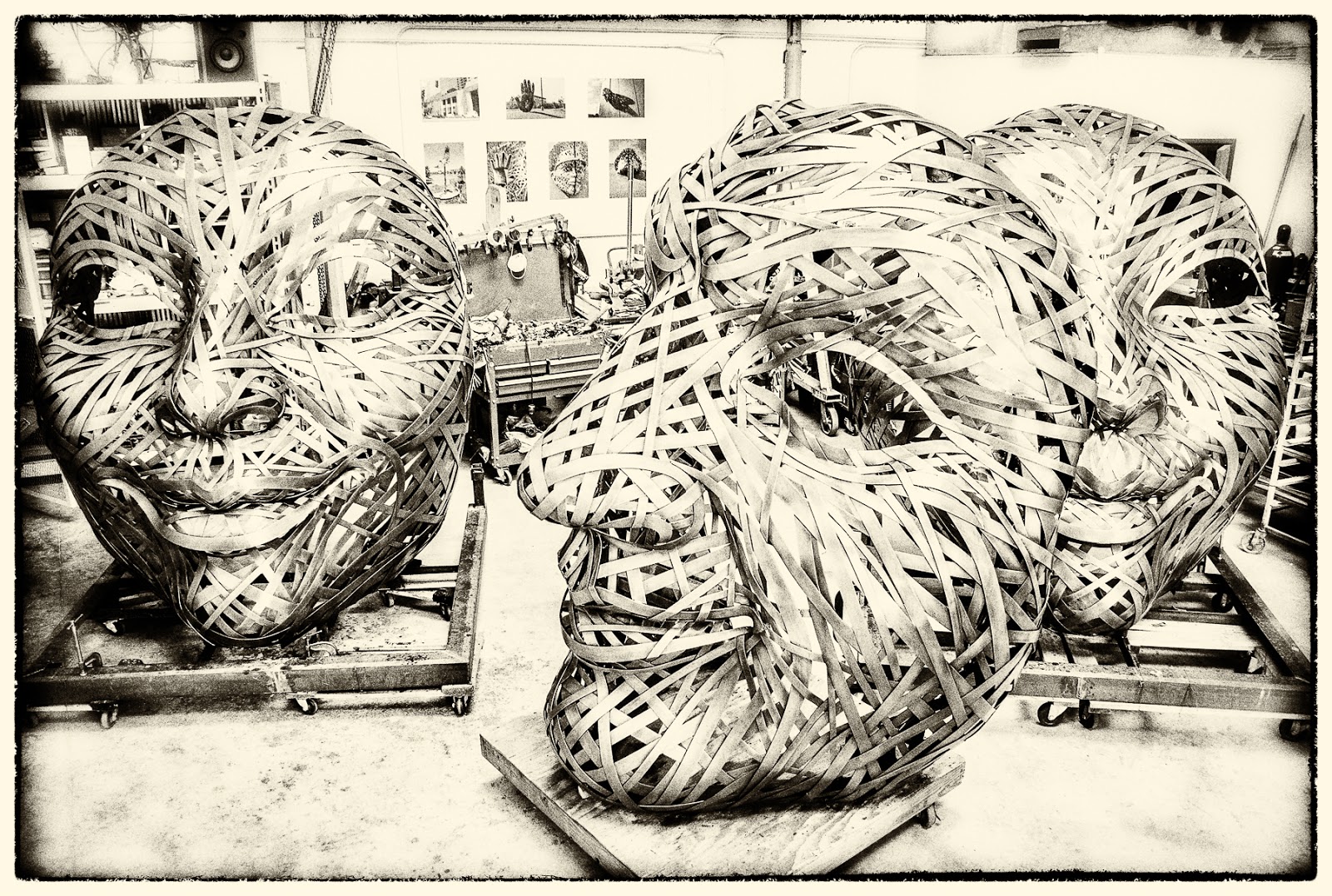 Blue Heron Blast: Three Faces