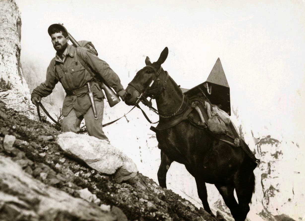 Imparare con la Geografia: 21 L'allevamento e il suo paesaggio