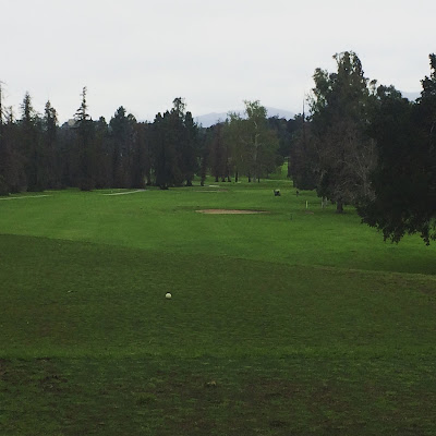 ReGripped: Wilson Golf Course Review