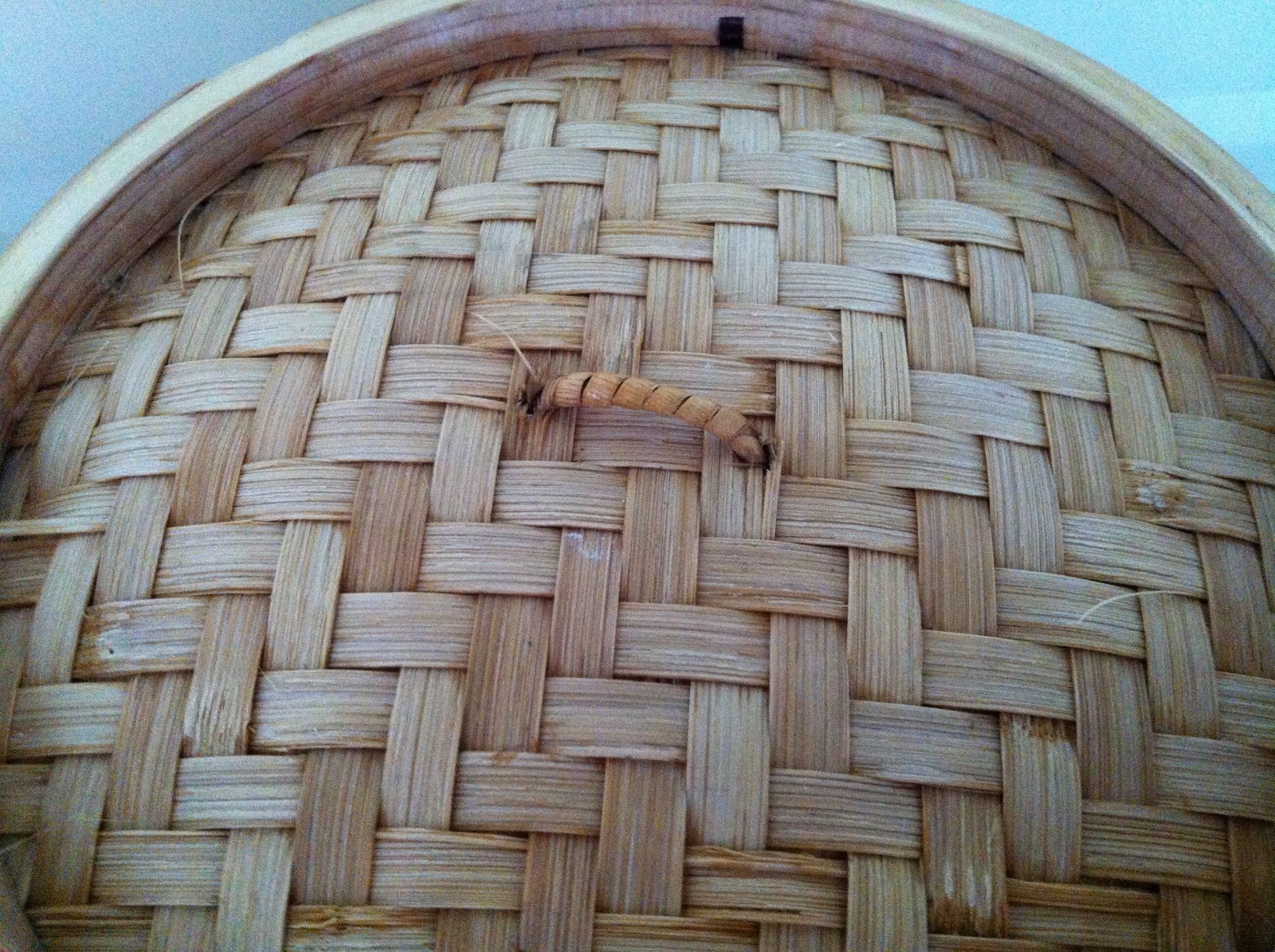 Crystal skin vegetable dumplings