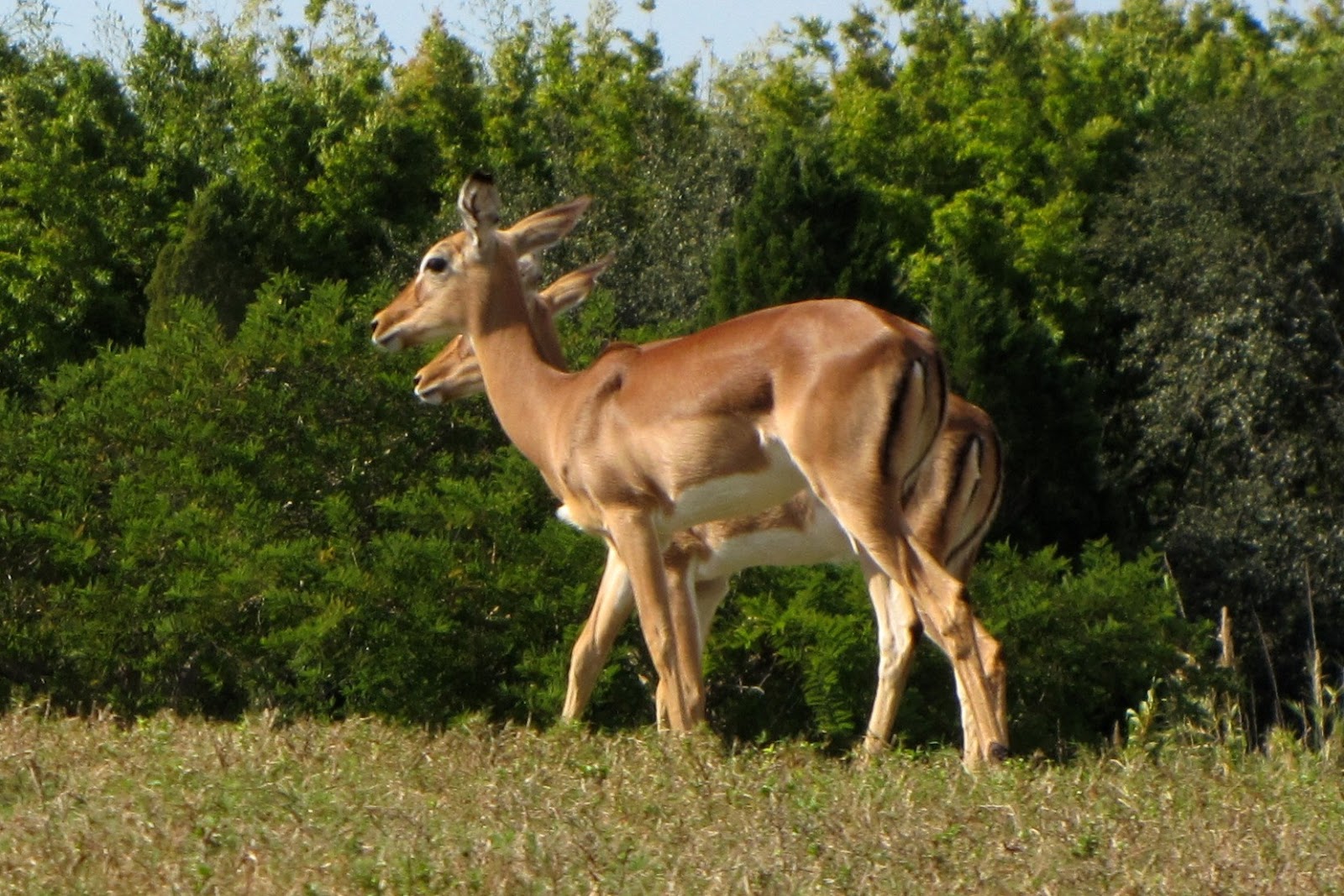 To Behold the Beauty: 1/1/13 - 2/1/13