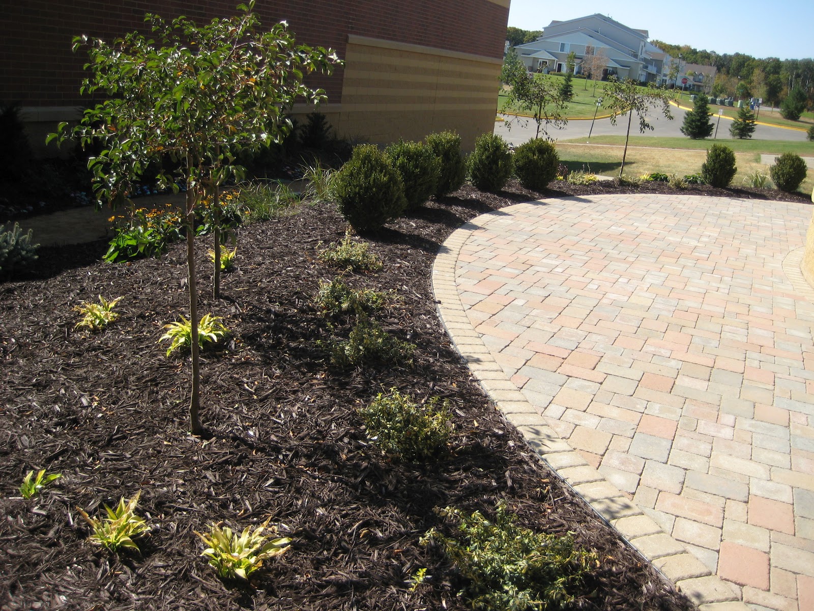 Double Loaded Paintbrush