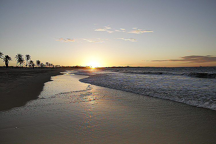 kimovimento "A Vida a Cada Momento": FLEXEIRAS