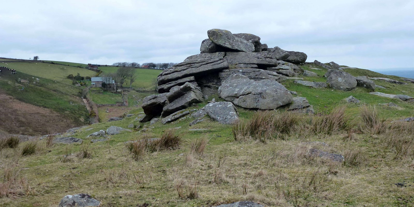 My Dartmoor Walks: Tuesday 20th March Belstone