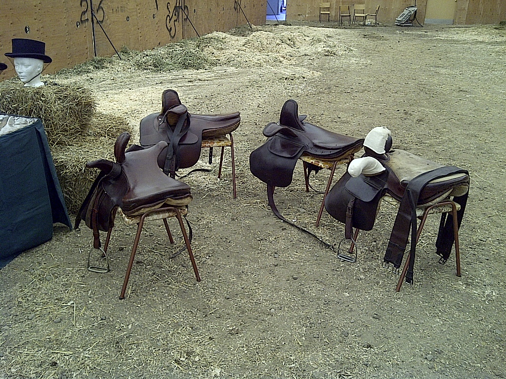 Ontario Sidesaddle Association: We Were There, at the Orangeville Fall ...