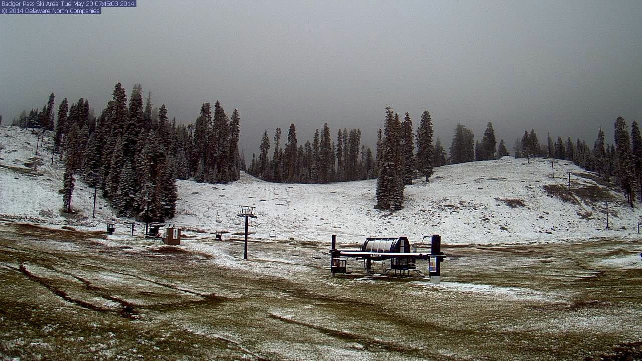 daily timewaster: Badger Pass Ski Area, Yosemite this morning