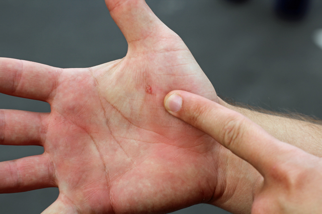 I Have Never...: Day 34 - Tricycle Races