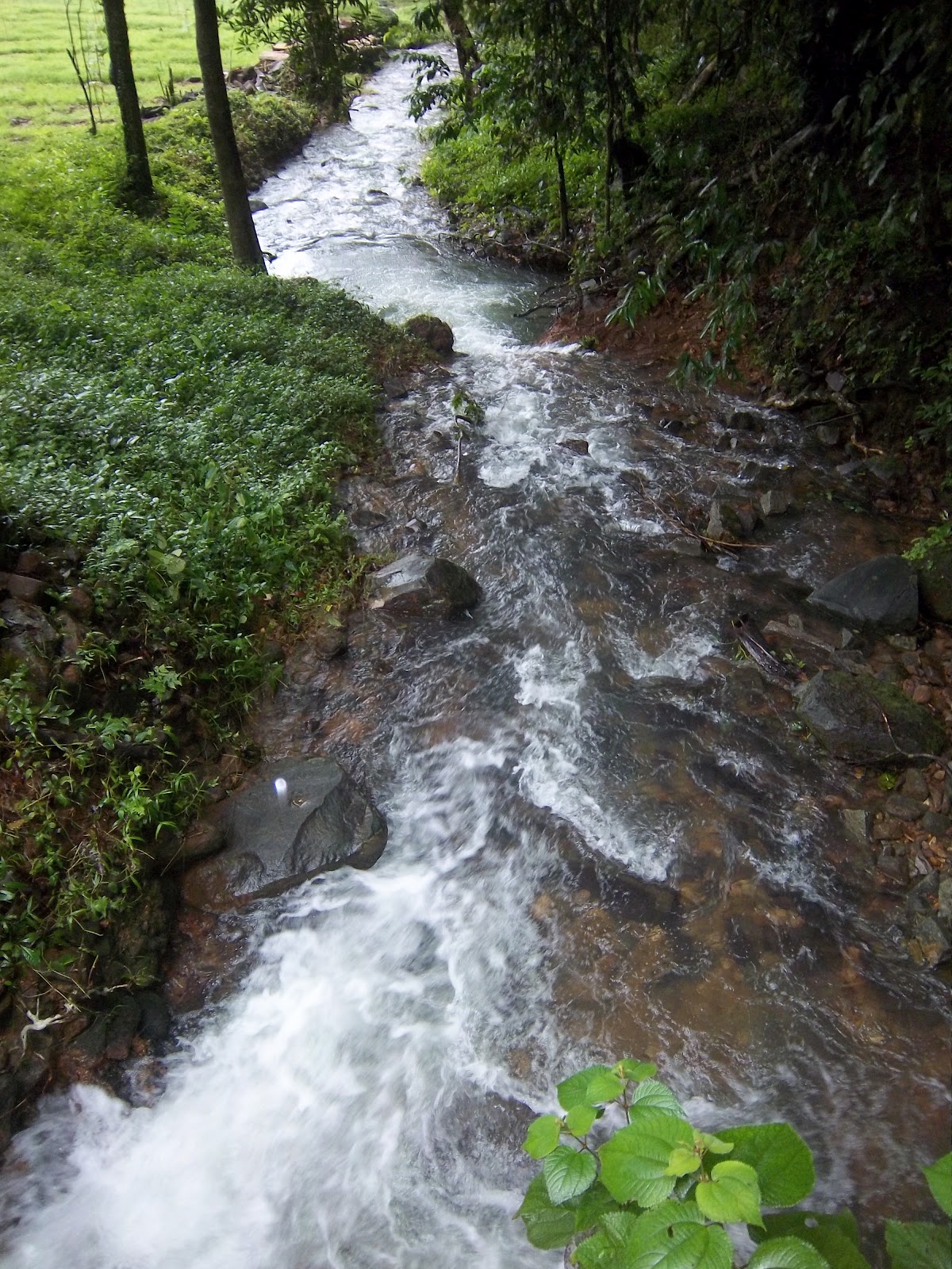 Namma Hebri: Hebri | Place where Nature Plays