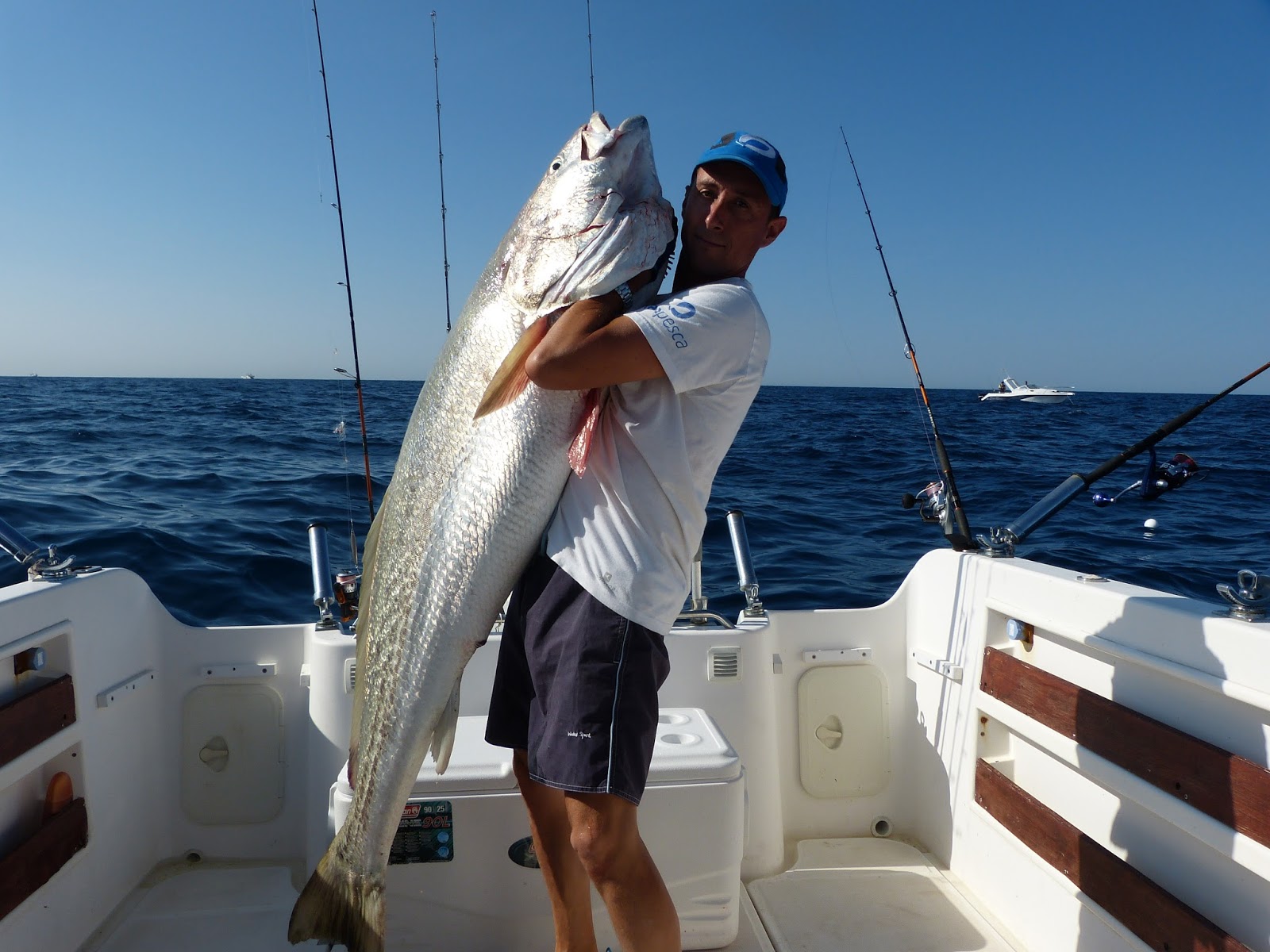 PESCA CINTINA: Pesca de corvina XXL con Enrique y José Andrés