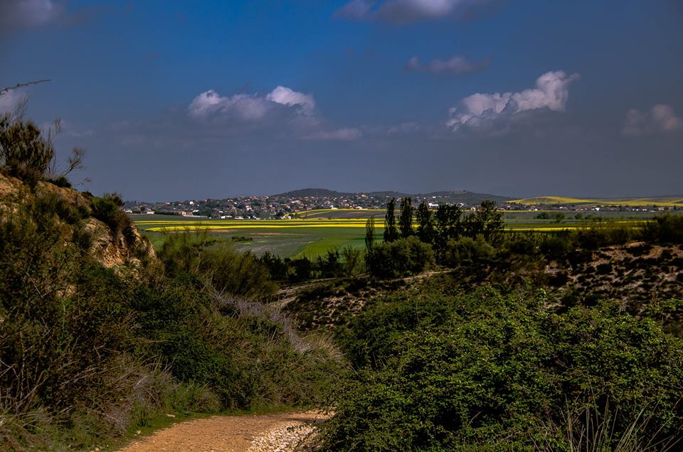 TORREJON DEL REY II. GEOGRAFIA, ... UNA CURIOSIDAD Y UN TESORO NATURAL