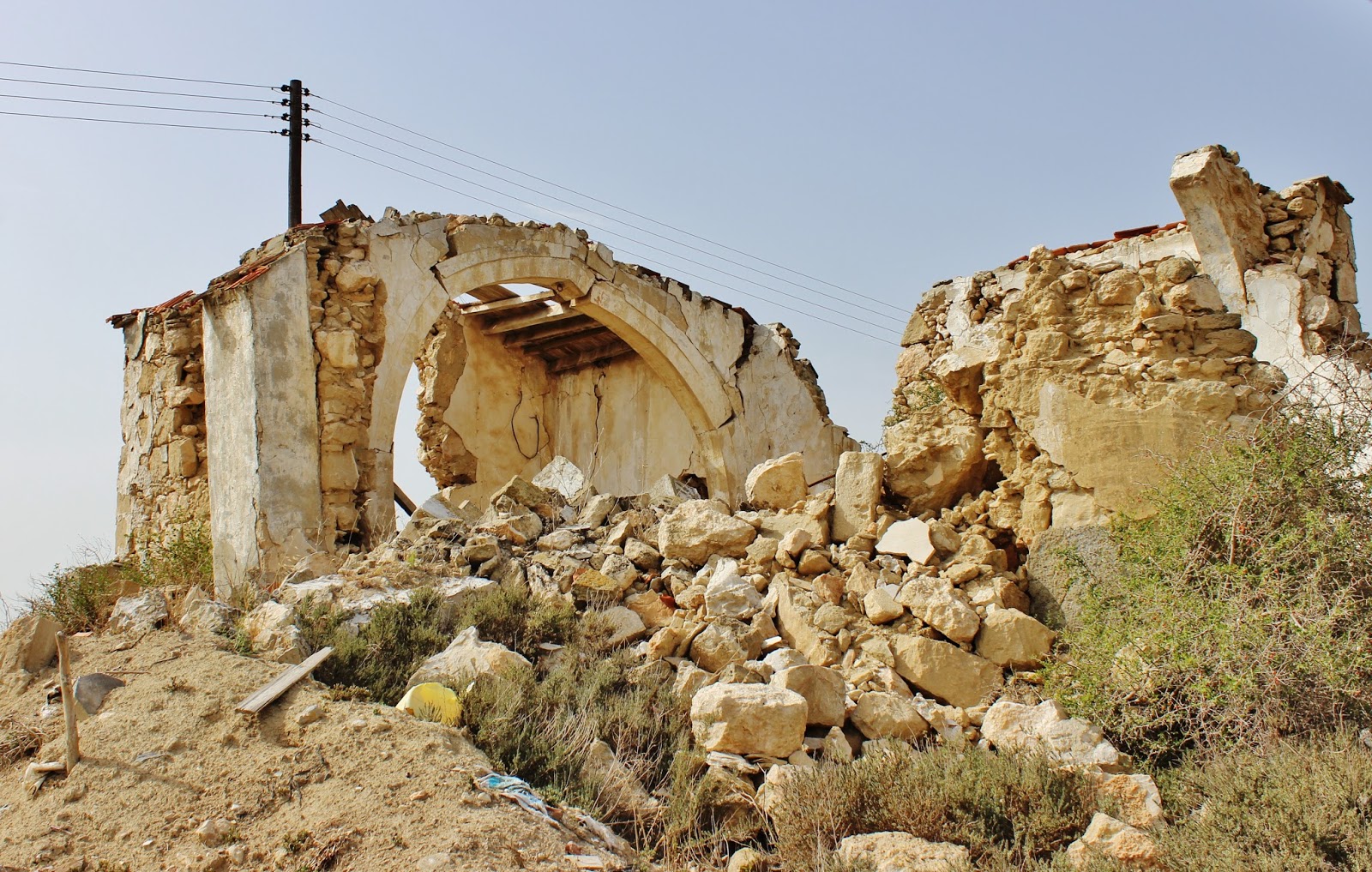 Biodiversity of Cyprus by NGO Protection of the Natural Heritage and ...